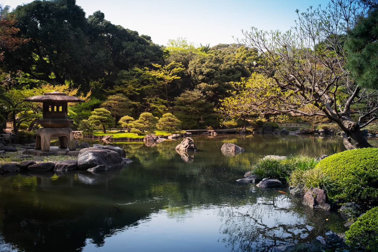 Jardines japoneses en Tokio: nuestro top 8 para visitar durante tu viaje