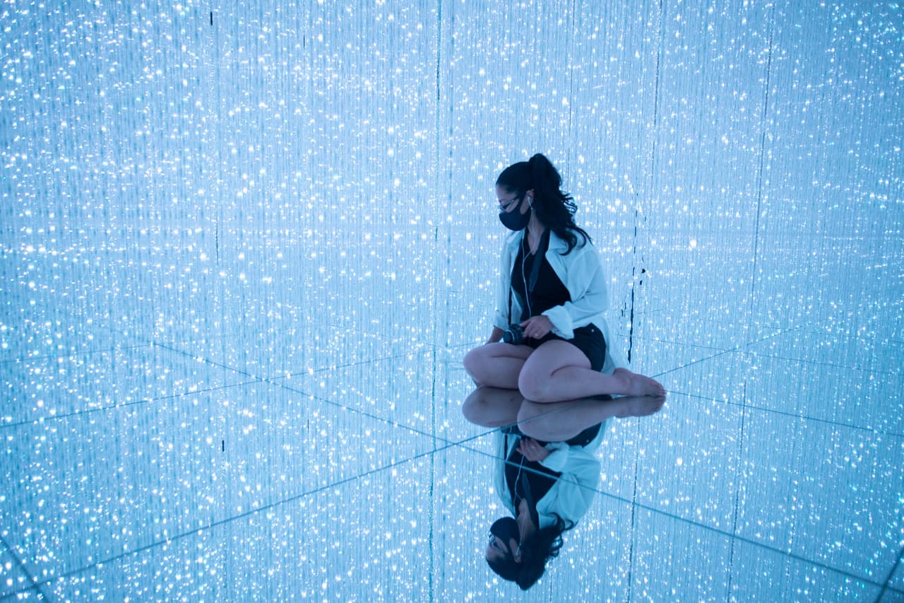 Toyosu en Tokio: el mercado de Toyosu, teamLab Planets y más