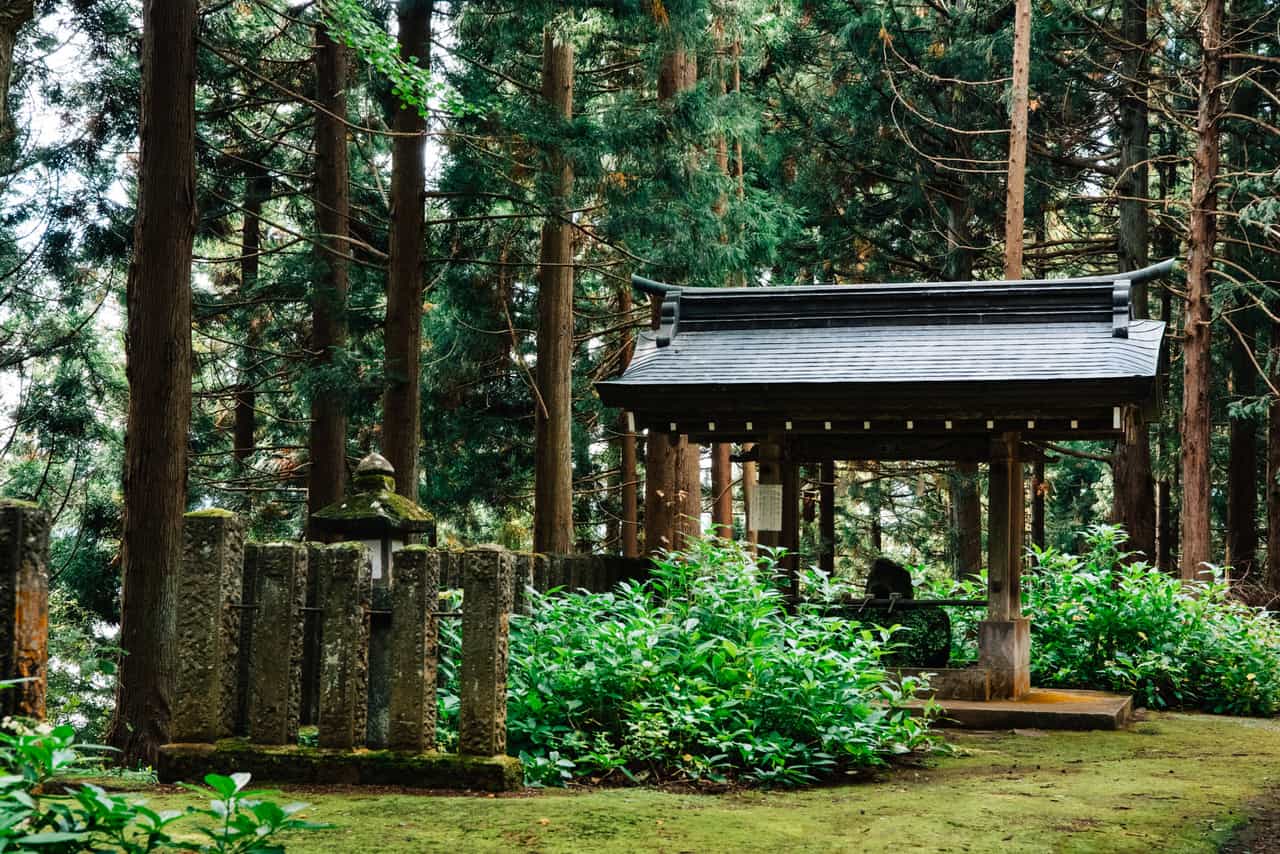 Bienvenido a Iiyama, ¡tu escapada a la aventura!