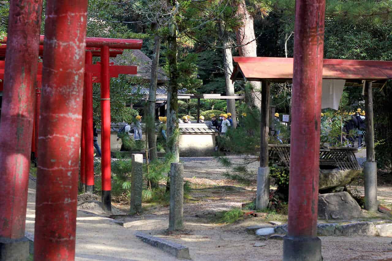 Iga: descubriendo la tierra de los ninjas y paisajes impresionantes